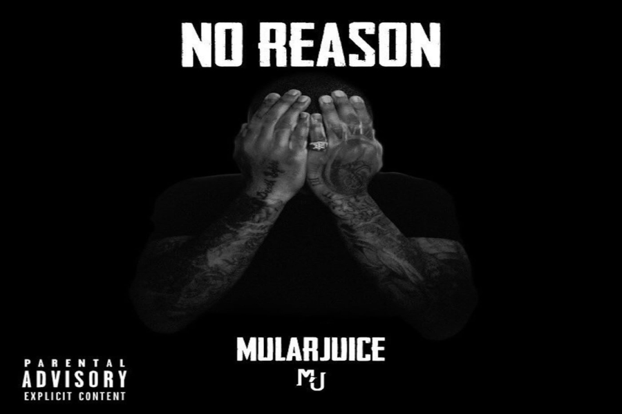 Upcoming100-YouTuberTurnedRapper MularJuice Shares Impressive Debut ...